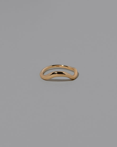 Precise Band | Mociun