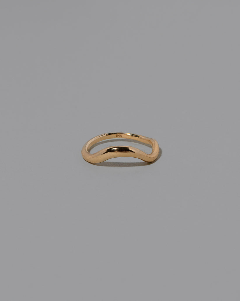 Precise Band | Mociun