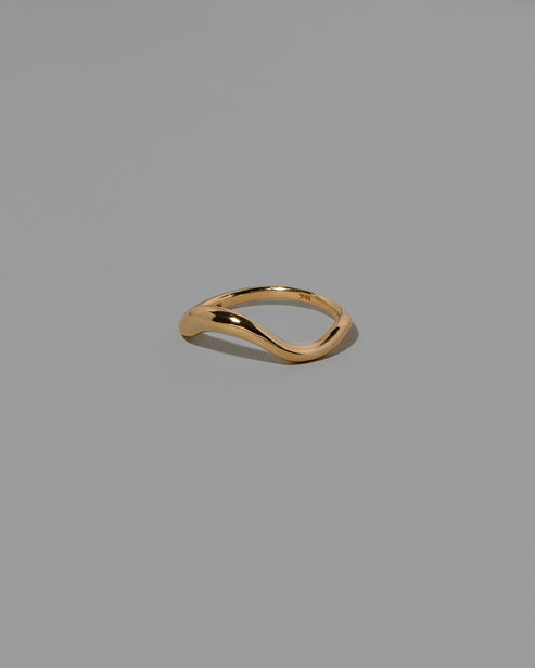 Precise Band | Mociun