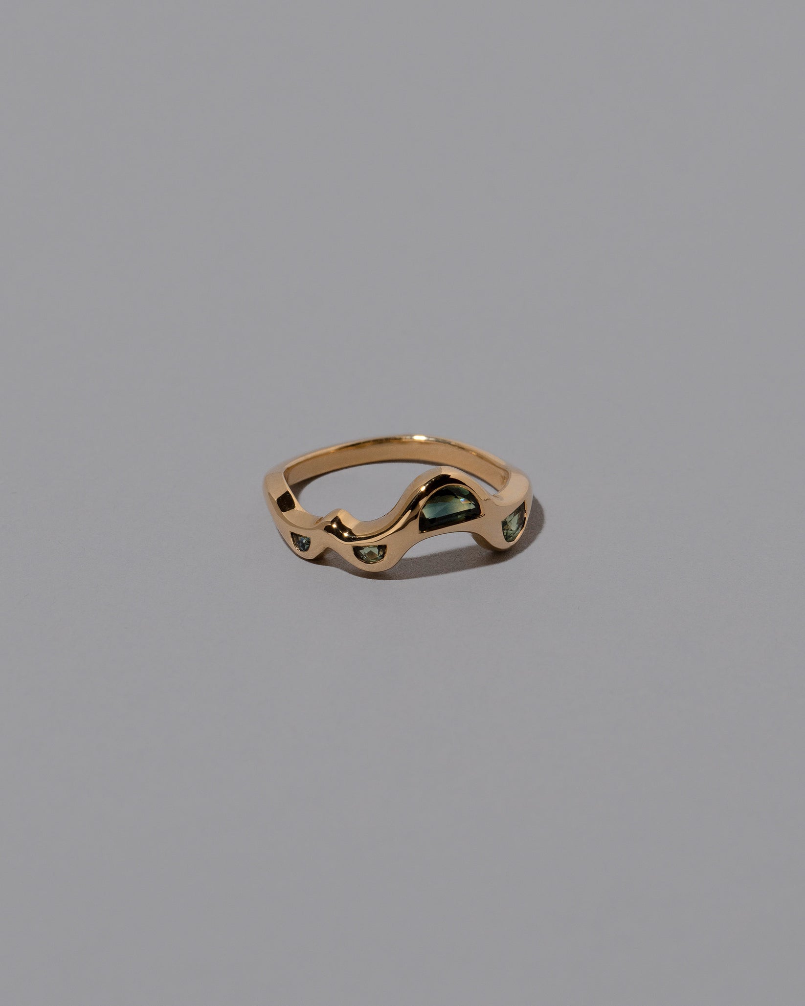 Wild Poppies Band | Mociun