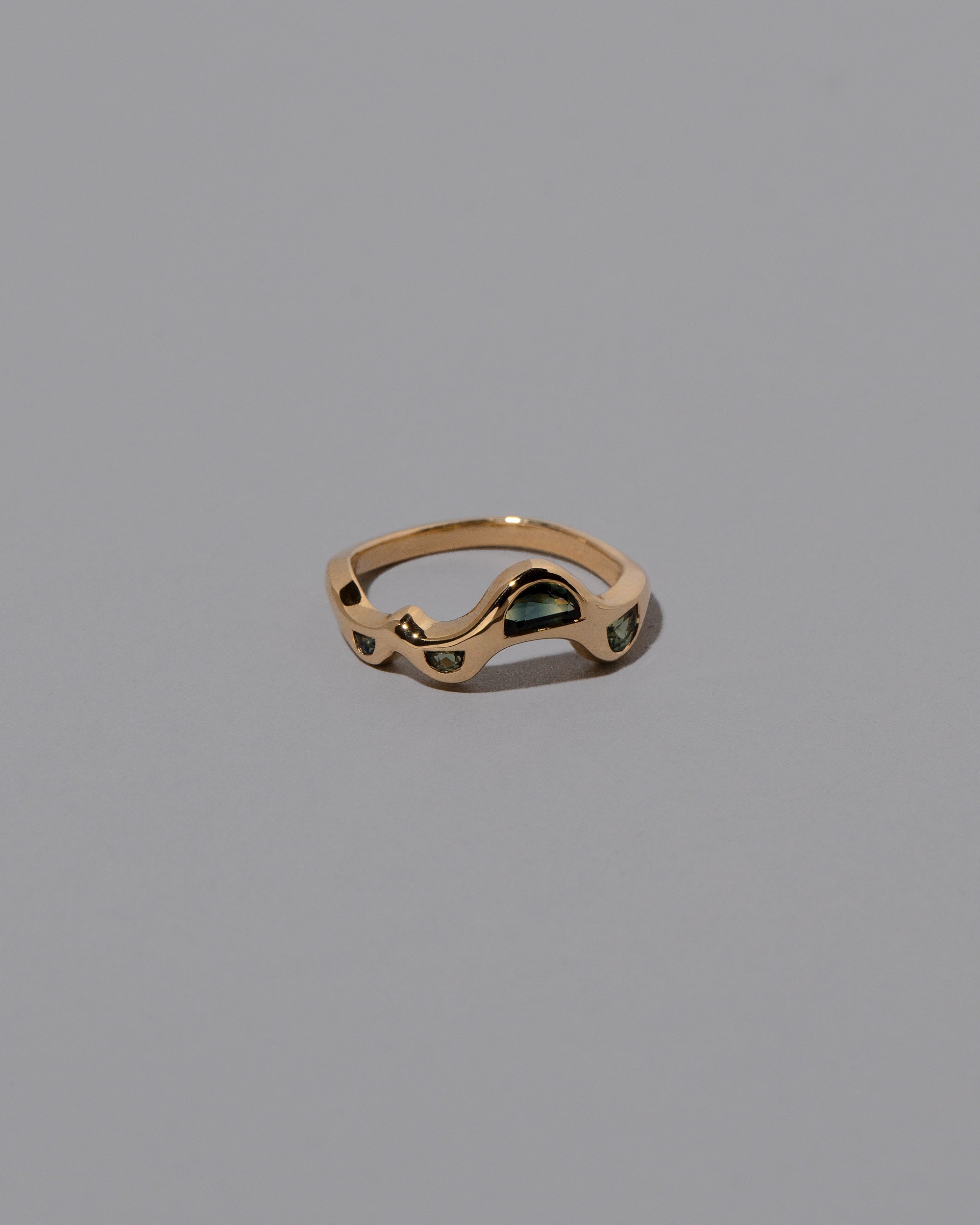 Wild Poppies Band | Mociun