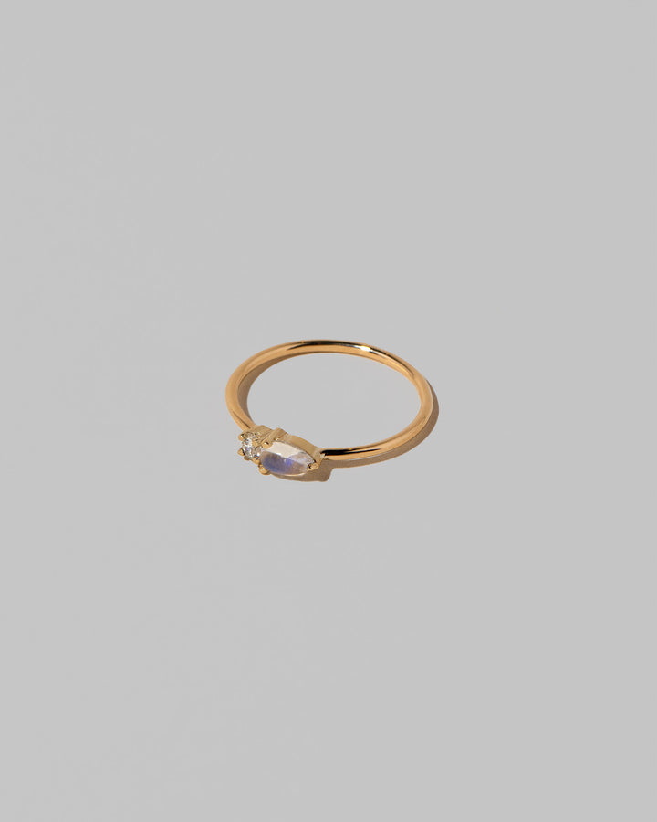 Mociun | New Jewelry Arrivals Collection