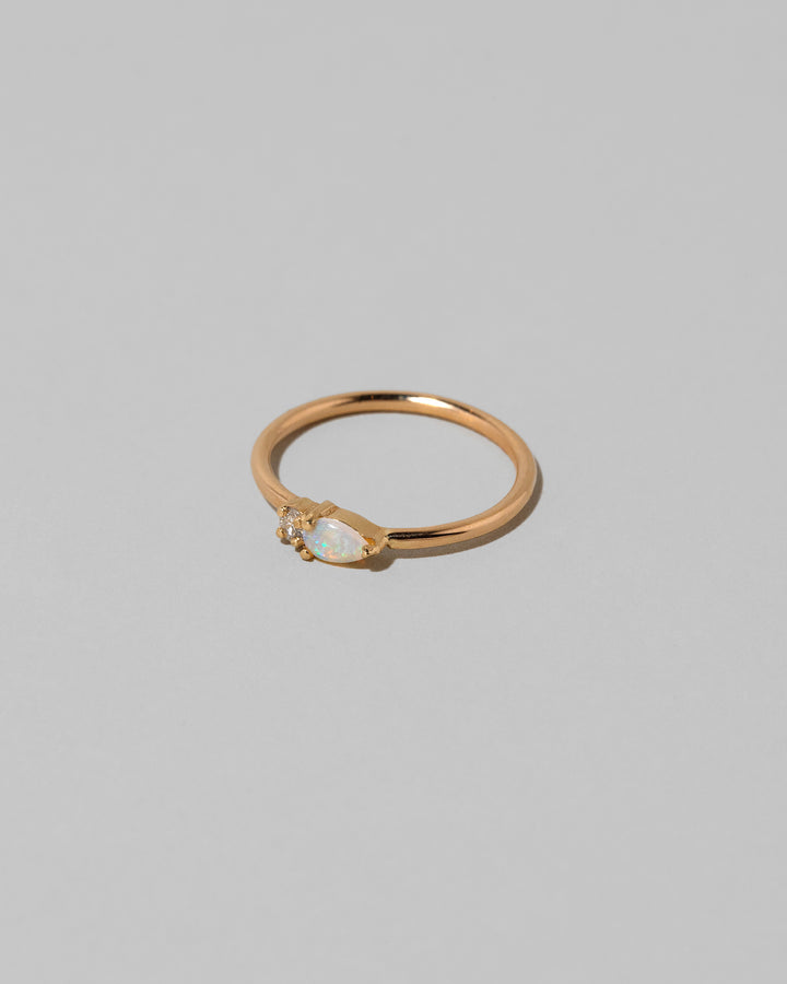 Mociun | Rings Collection