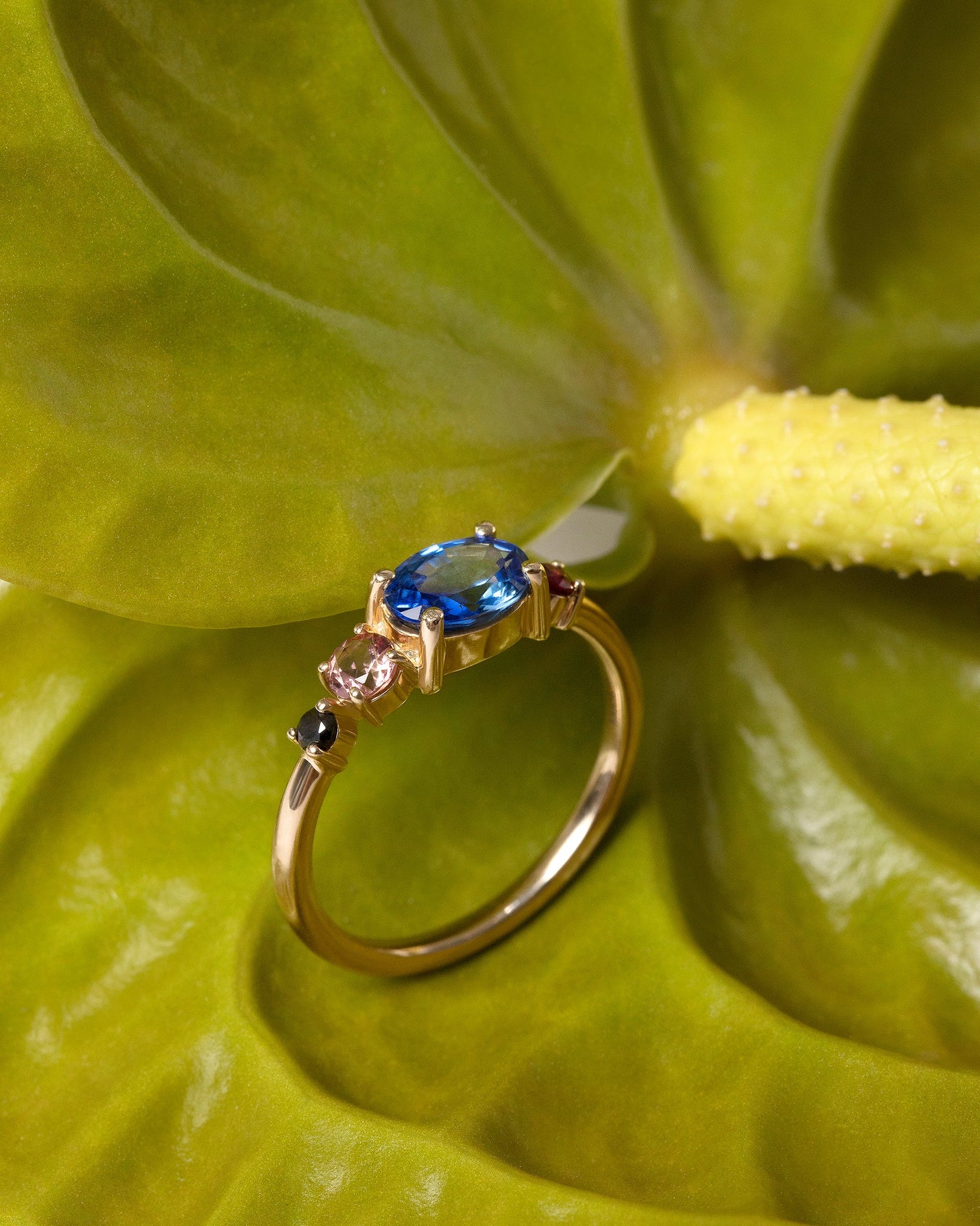 Polaris Ring | Mociun