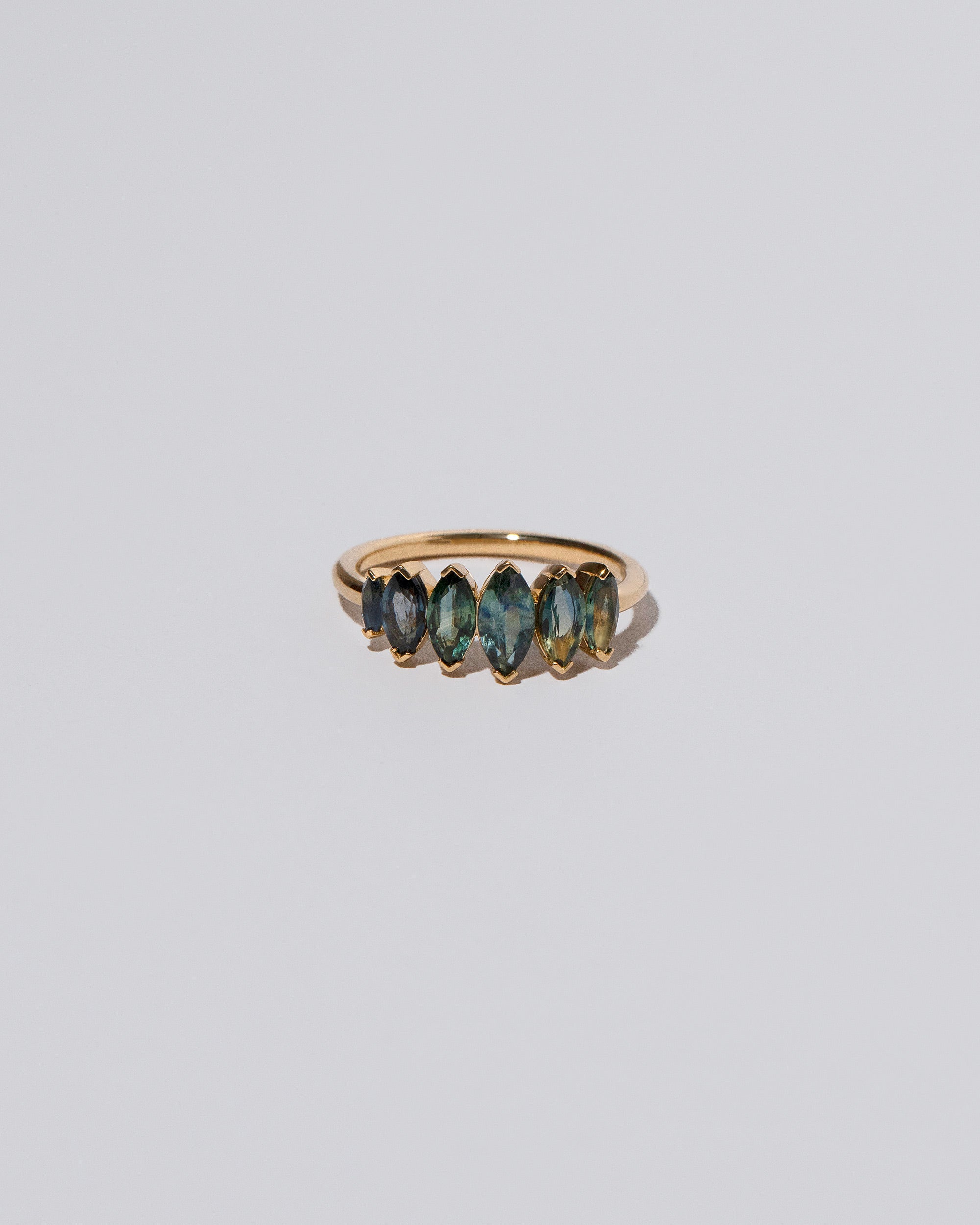 Hericium Ring | Mociun