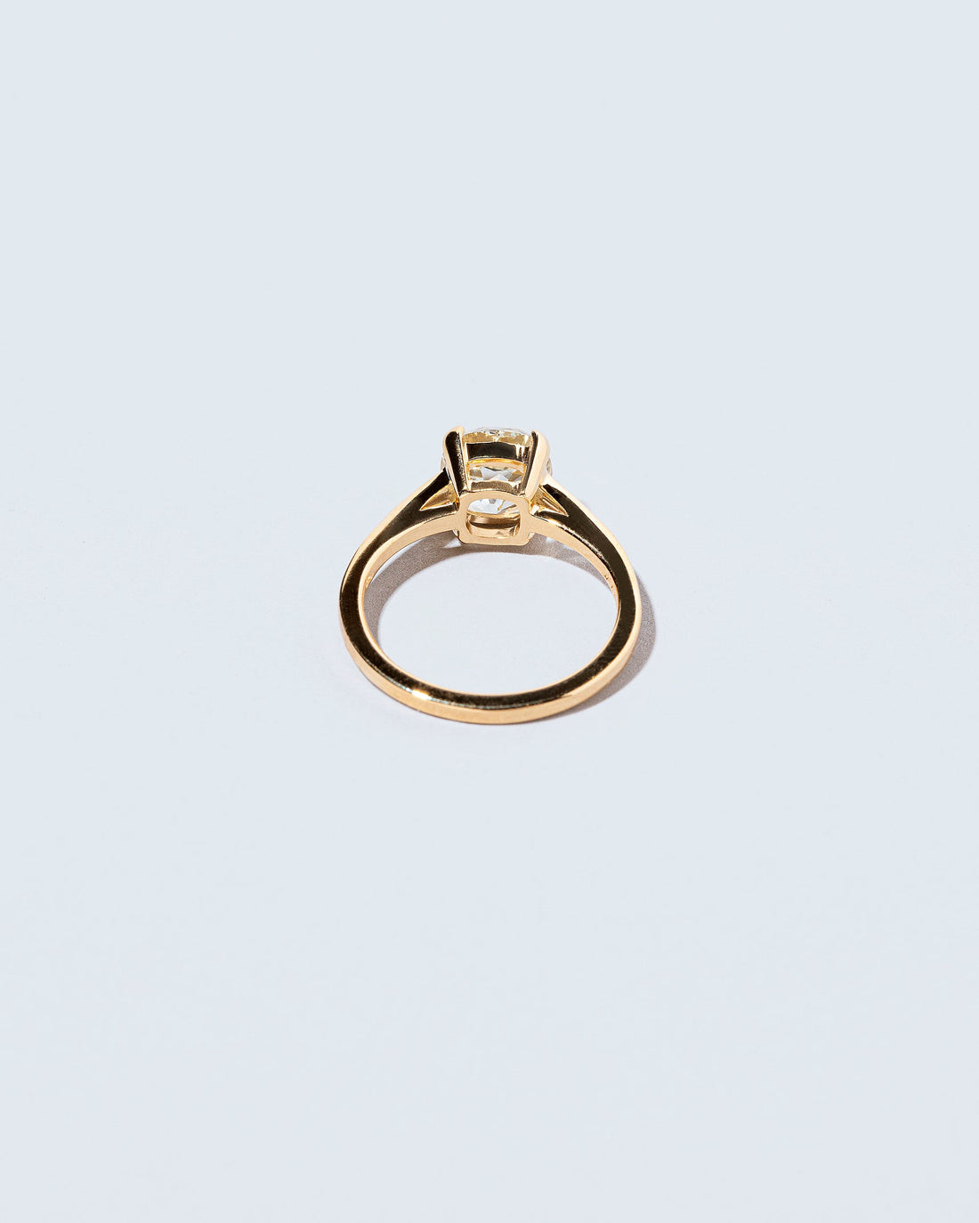 Ichor Ring | Mociun